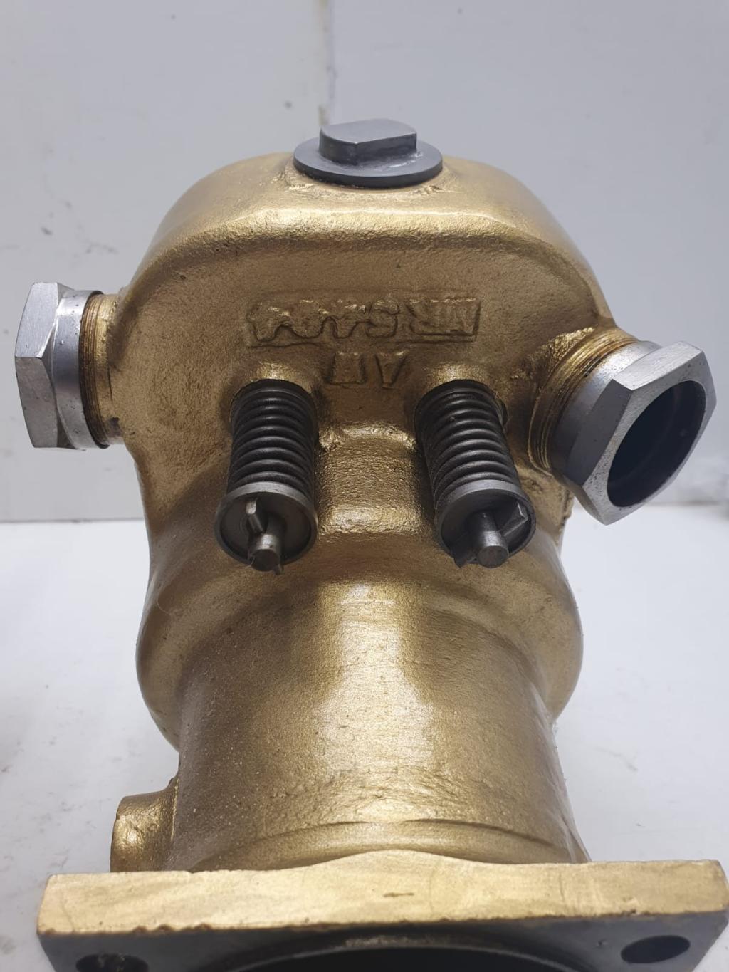 Morgan watercooled Cylinders/Pair used | BRITISH Only Austria ...