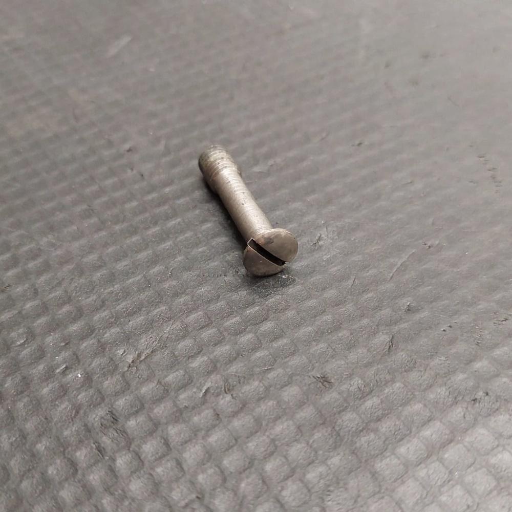 Triumph Tank Grid Screw Stainless Steel | BRITISH Only Austria ...